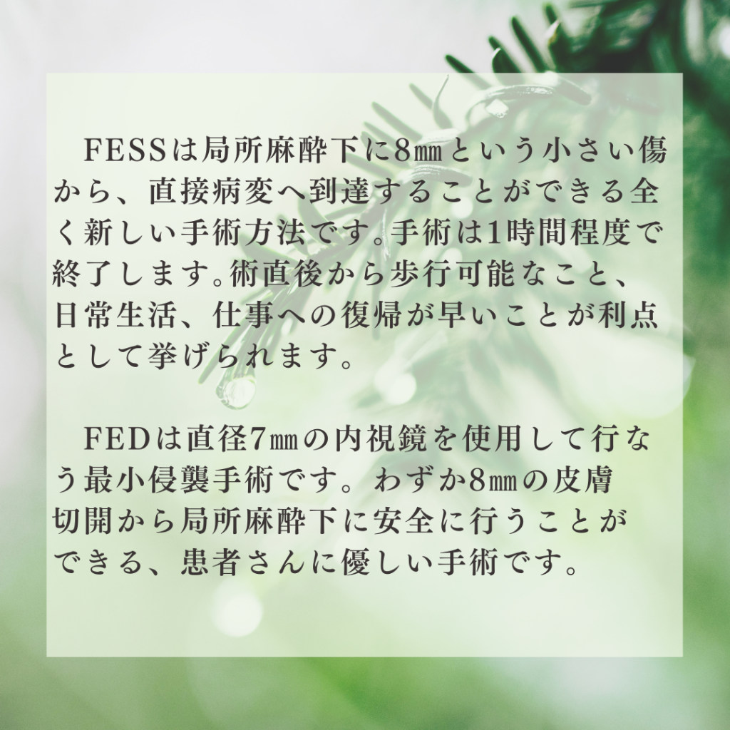 腰椎椎間板ヘルニア手術療法について（FESS/FED） | 医療法人 西さっぽろ病院